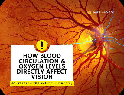 How Blood Circulation & Oxygen Levels Directly Affect Vision